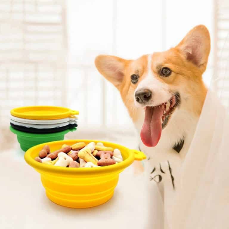 Bulk Buy Silicone Pets Products Wholesale - Z.S.R.